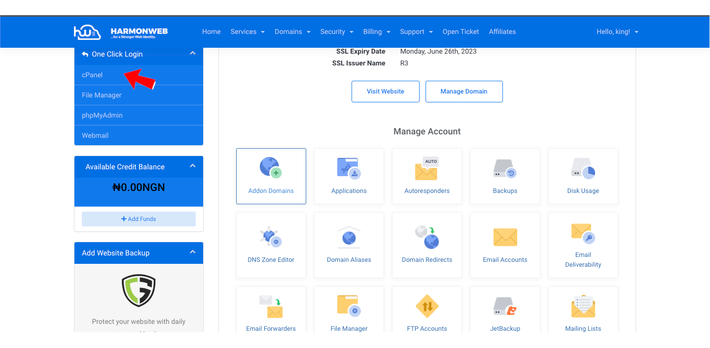 How to Login to cPanel From Your HarmonWeb Client Area | HarmonWeb Blog